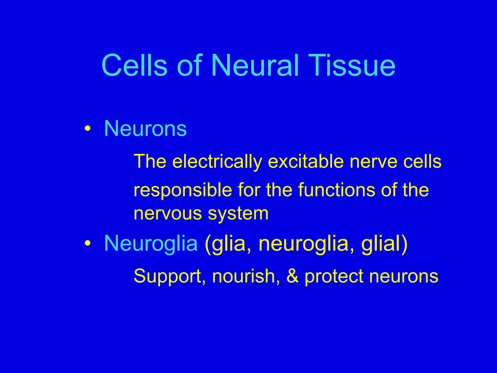Nervous System Structure and Function.ppt