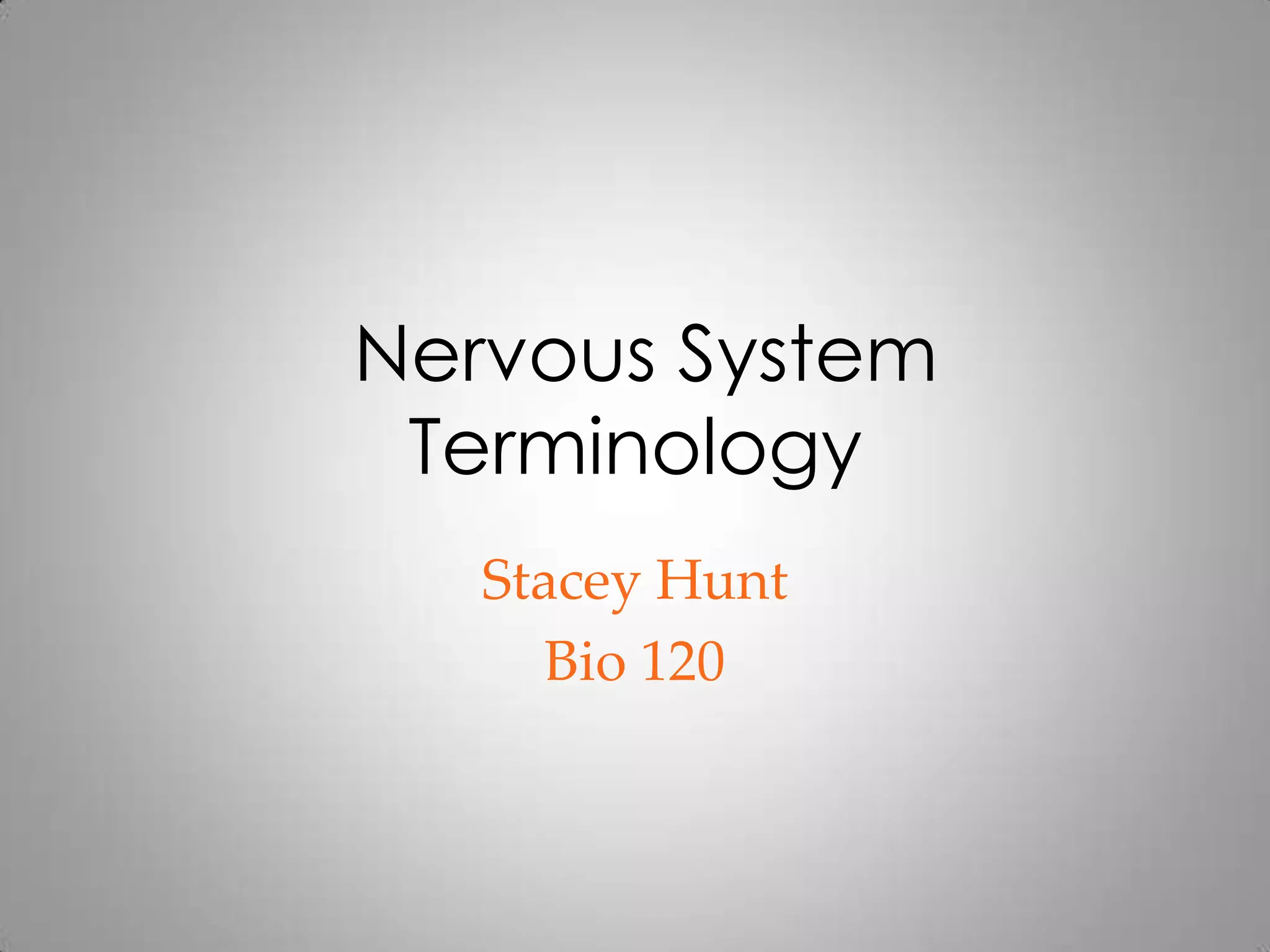 Nervous system terminology | PPTX