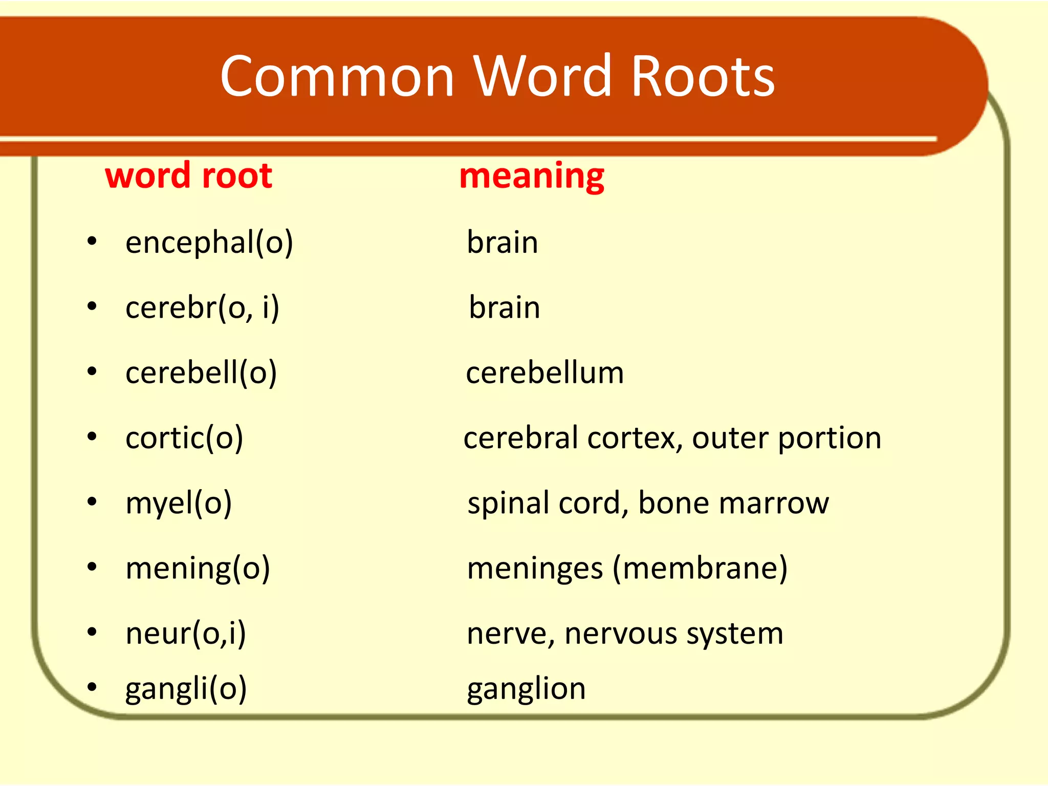 nervous system terminology .pdf
