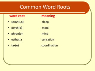 nervous system terminology .pdf