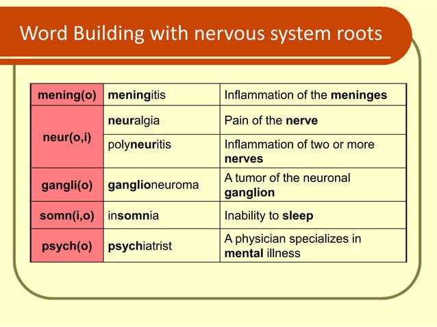nervous system terminology .pdf | Brain and Nervous System Disorders ...