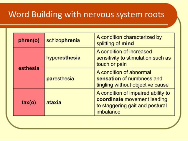nervous system terminology .pdf | Brain and Nervous System Disorders ...