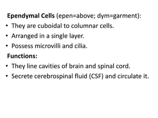 Nervous system unit iii stds | PPTX | Brain and Nervous System ...
