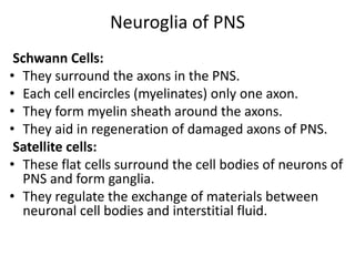 Nervous system unit iii stds | PPTX