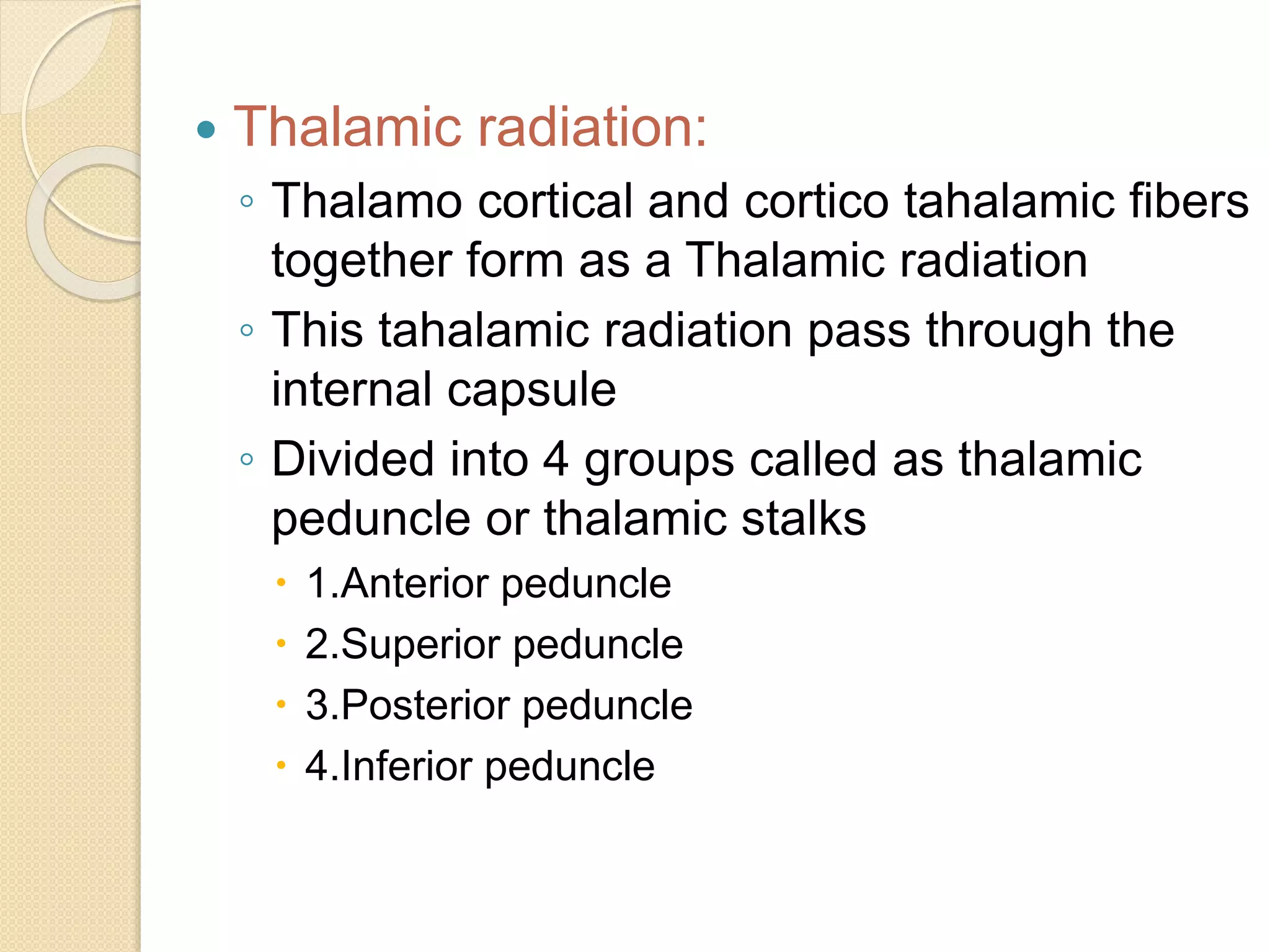 Thalamus physiology | PPTX