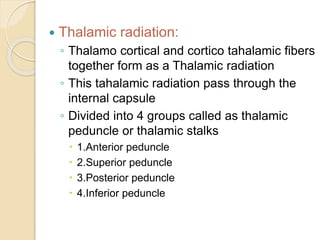 Thalamus physiology | PPTX