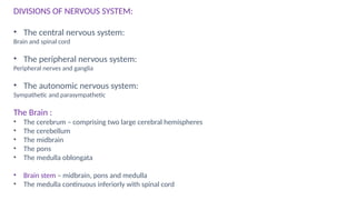 NERVOUS SYSYTEM INTRO Physiology and A.pptx