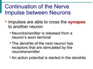 the introduction to Nervous Sytem-1.pptx