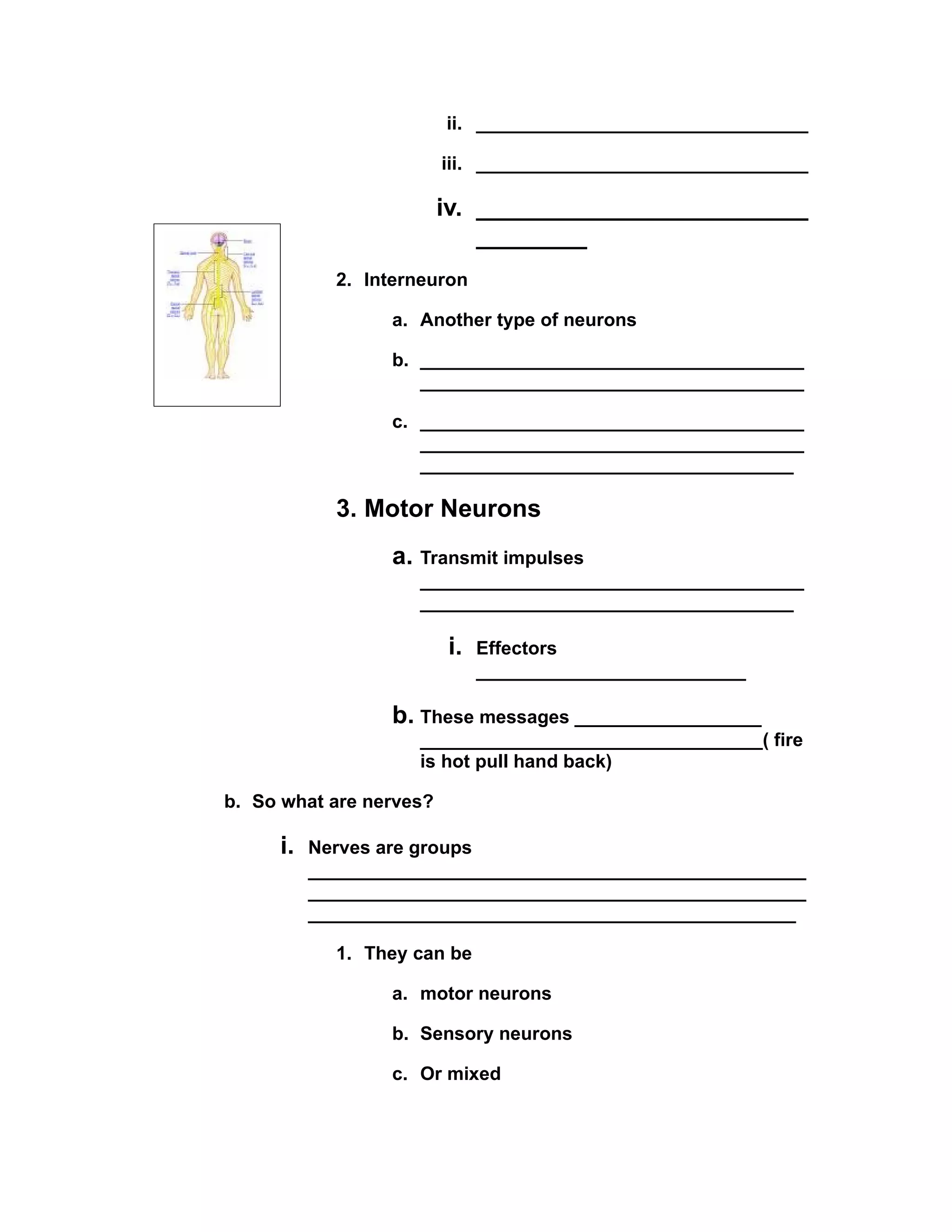 Nervous sytem | DOC | Brain and Nervous System Disorders | Diseases and Conditions