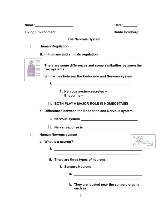 Nervous sytem | DOC | Brain and Nervous System Disorders | Diseases and ...