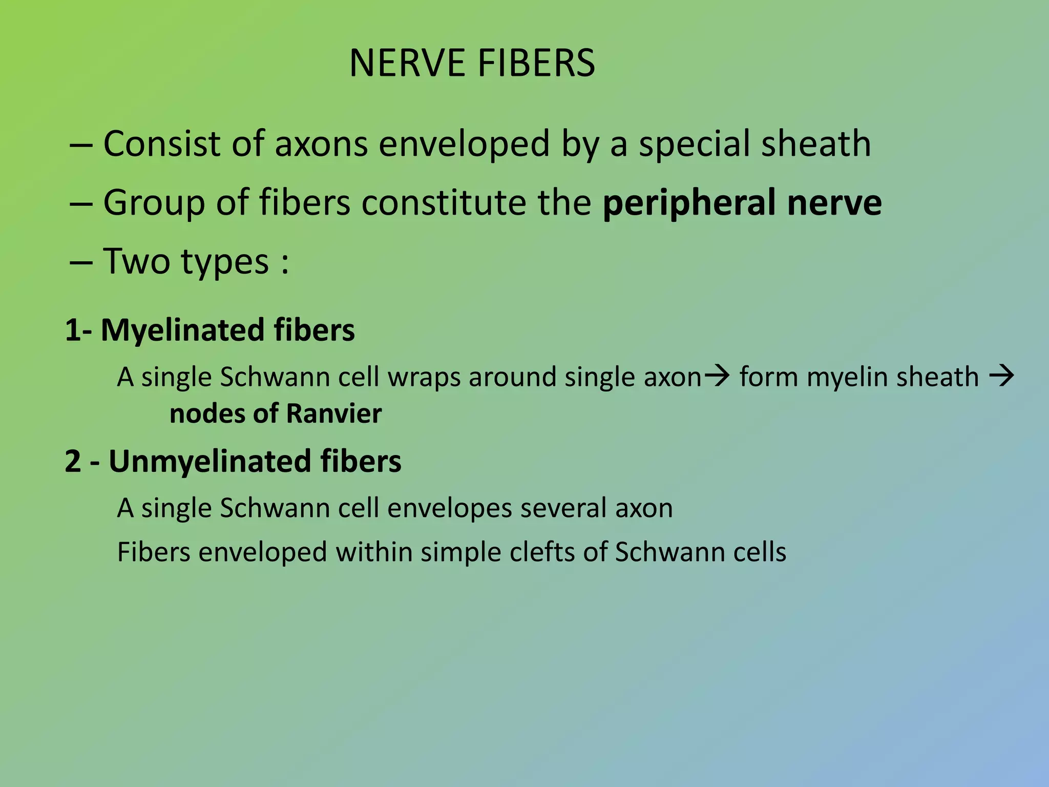 Nervous tissue (Histology) | PPTX