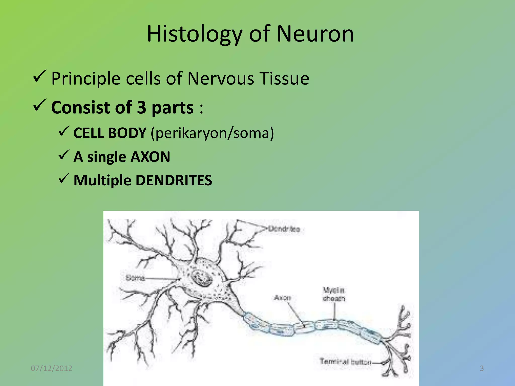 Nervous tissue (Histology) | PPTX