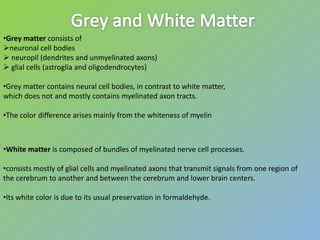 Nervous tissue (Histology) | PPTX