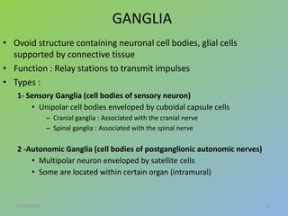 Nervous tissue (Histology) | PPTX