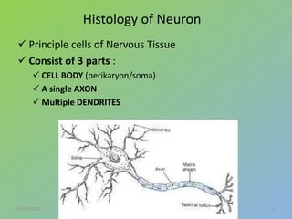 Nervous tissue (Histology) | PPTX