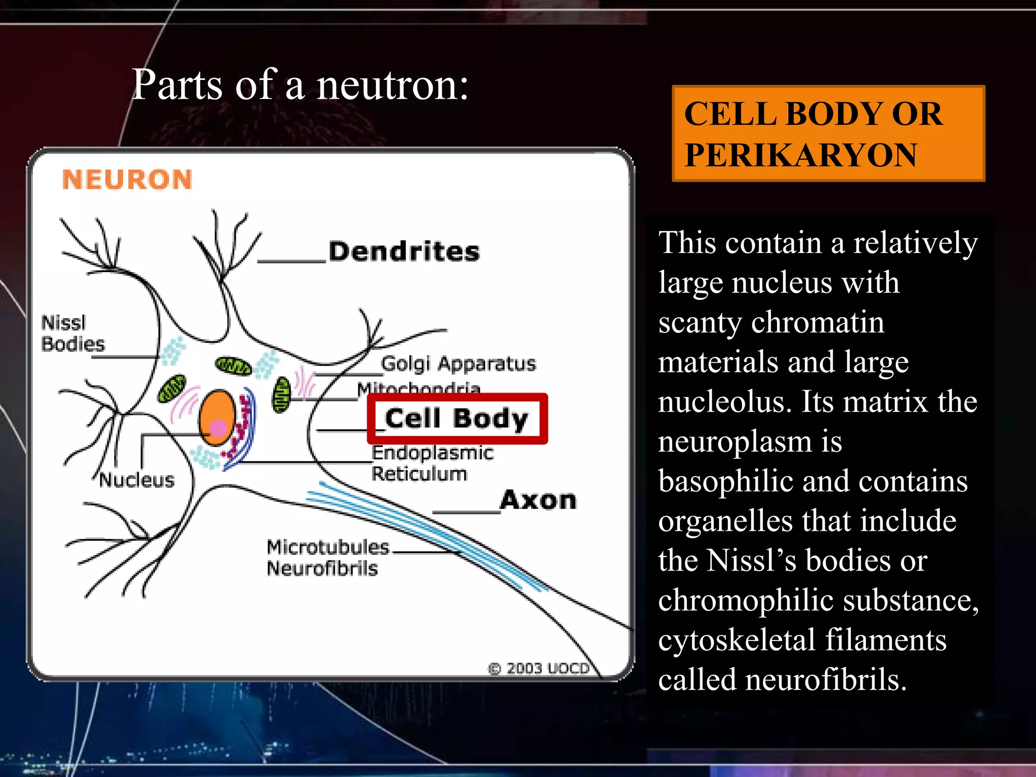 Nervous tissue | PPTX