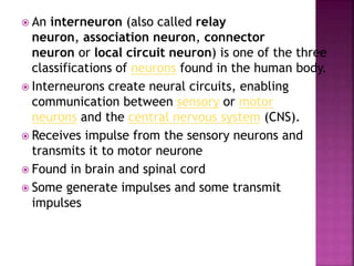 Nervous tissue | PPTX