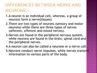 Nervous tissue | PPTX