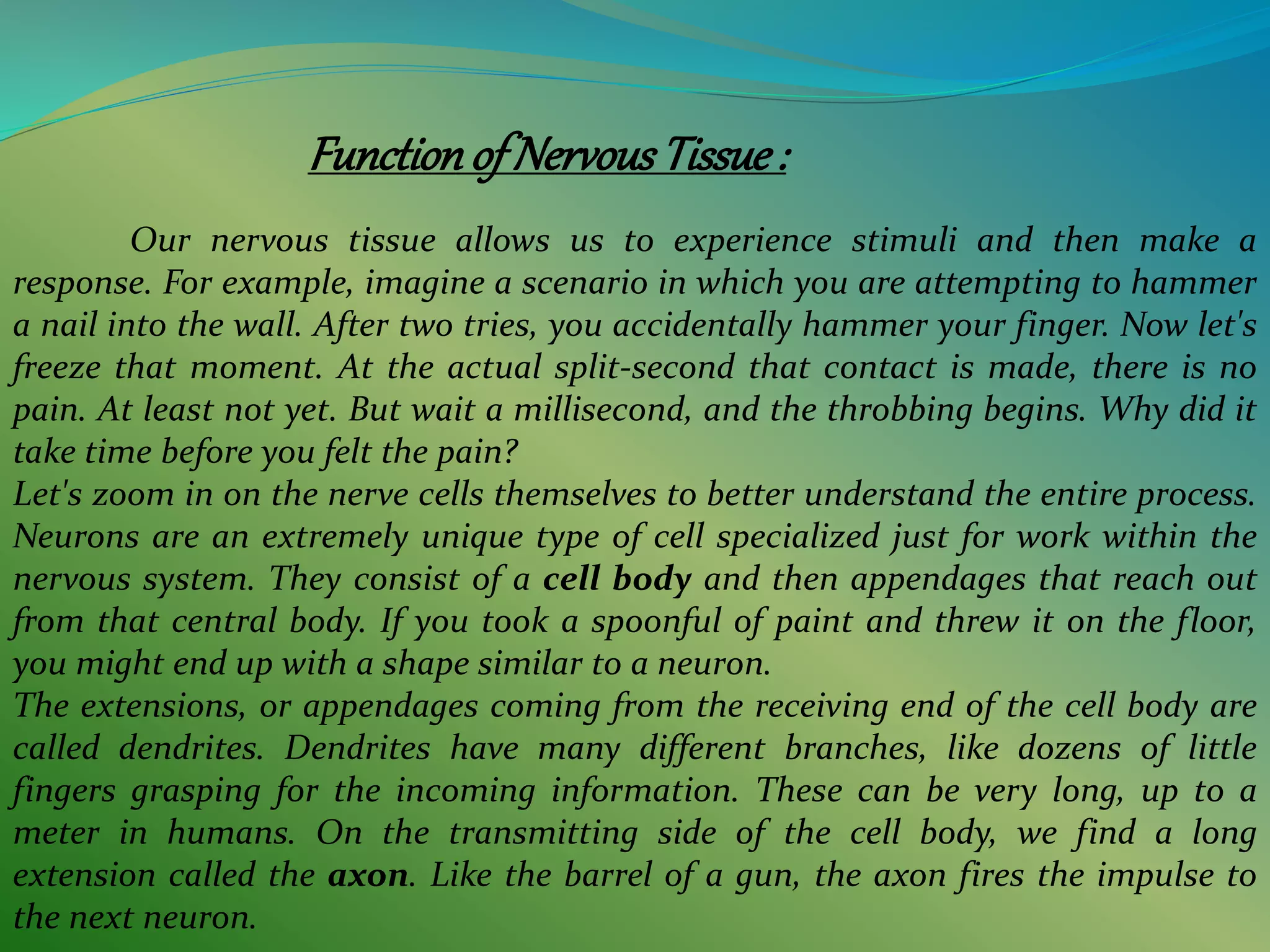 Nervous system | PPTX