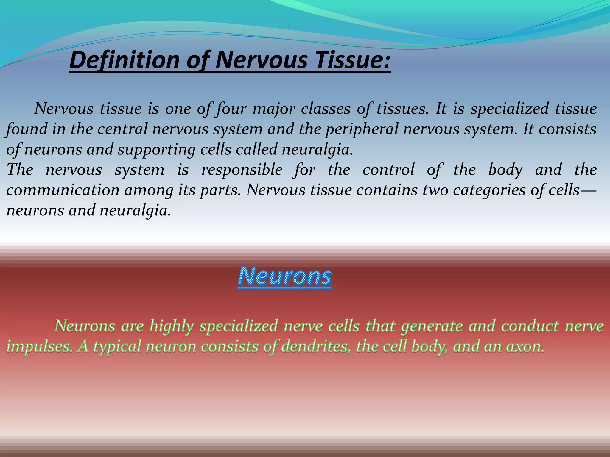 Nervous system | PPTX