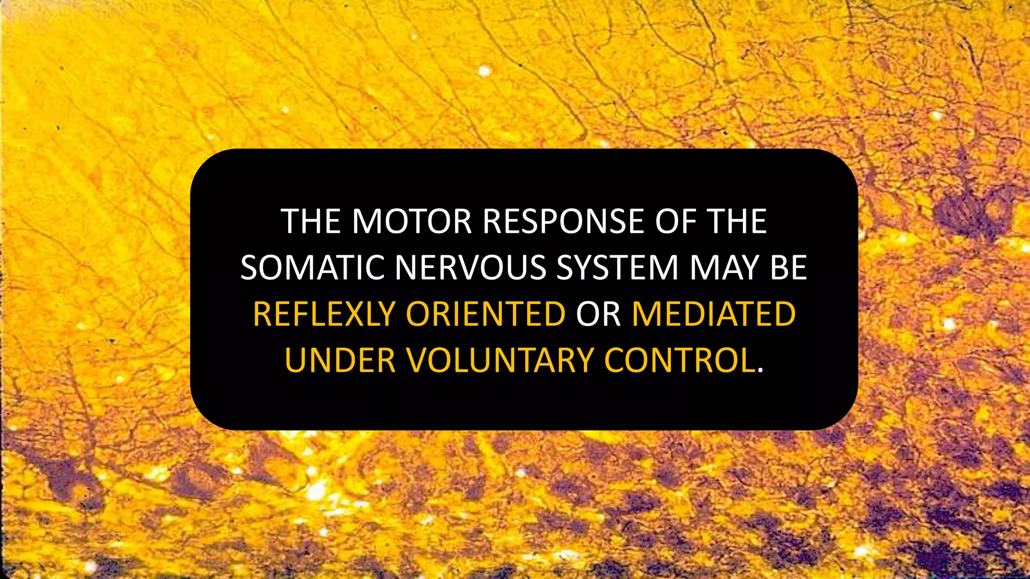 HISTOLOGY OF NERVOUS TISSUE - PART 1 | PPTX