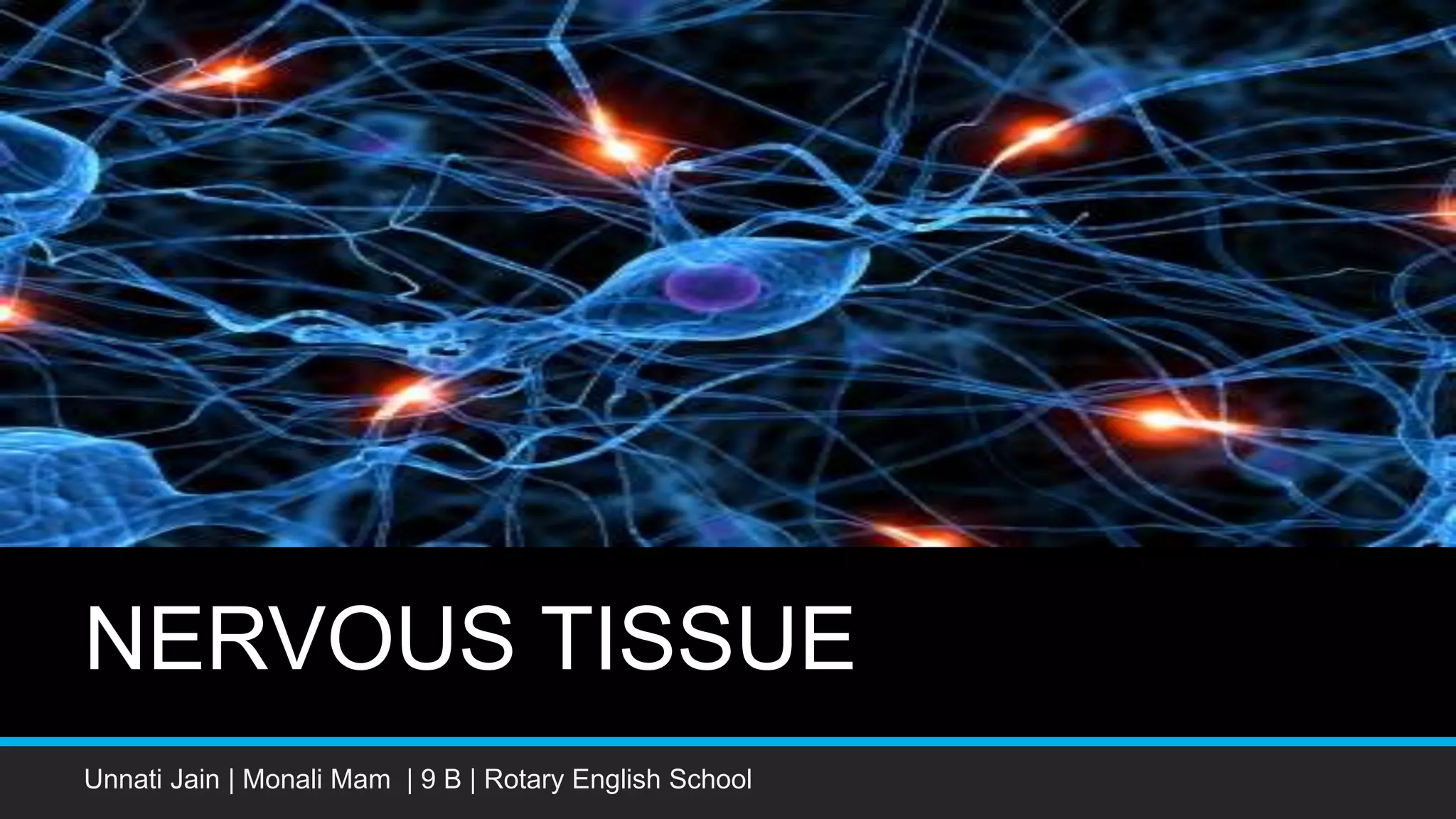 nervous tissue | PPT