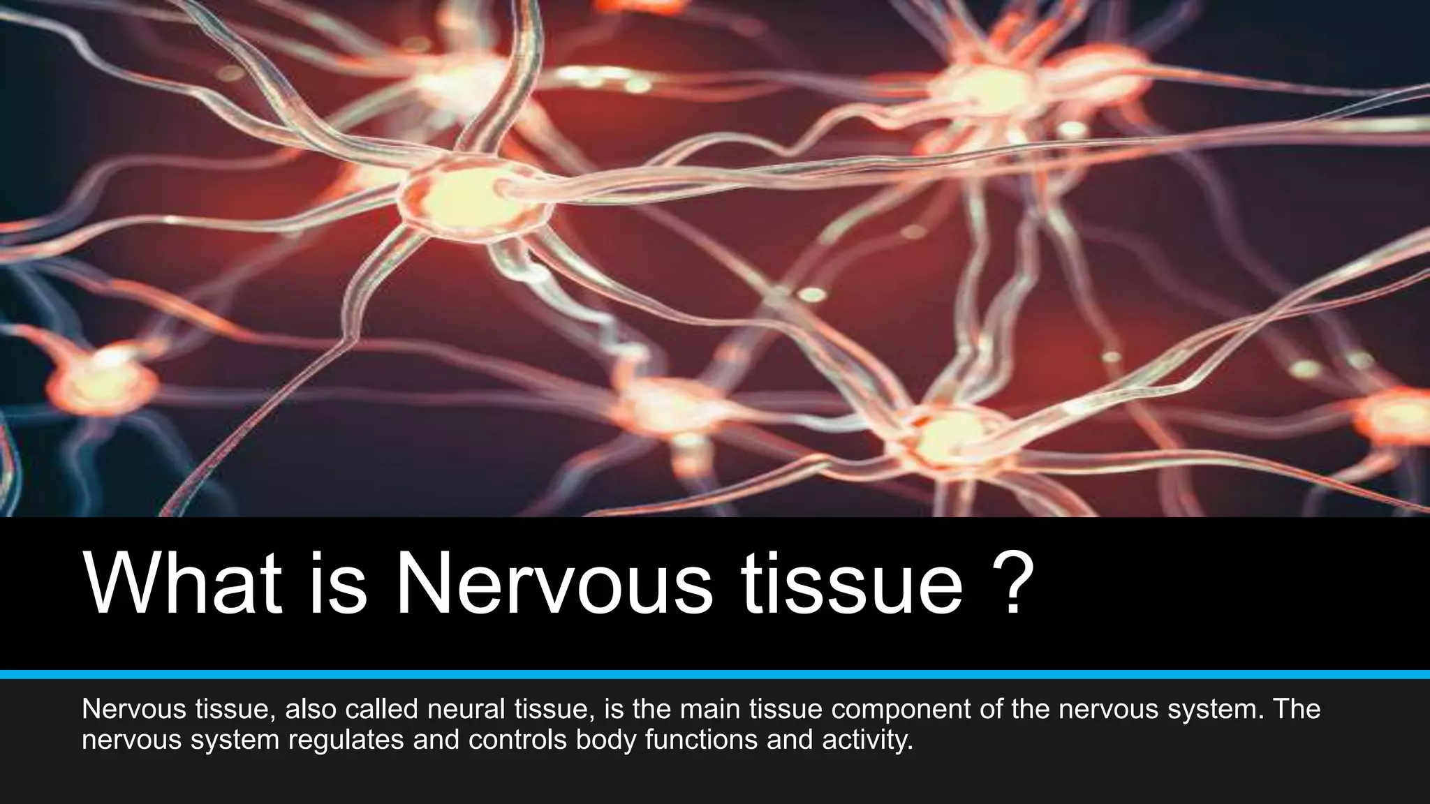 nervous tissue | PPTX