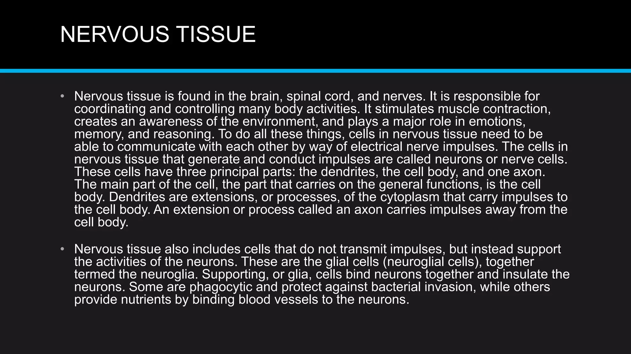 nervous tissue | PPT