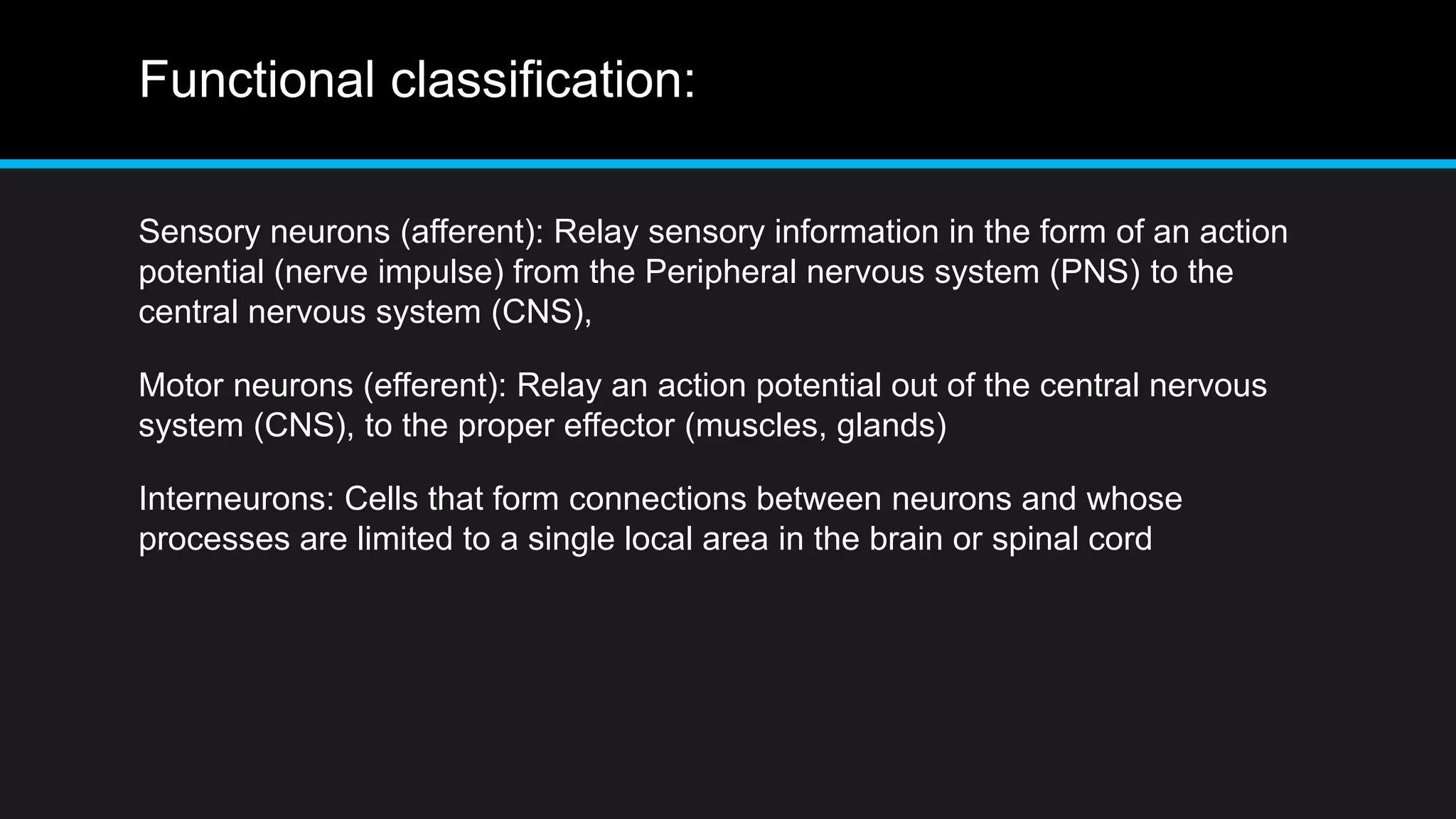 nervous tissue | PPT