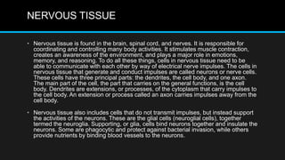 nervous tissue | PPT