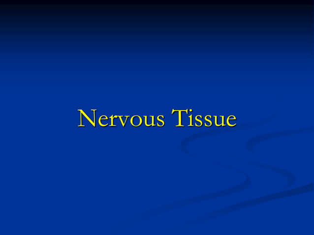 Nervous Tissue.pptx