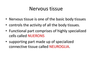 Nervous Tissue Definition