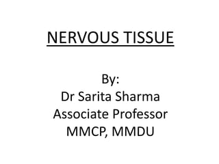 NERVOUS TISSUE.pptx