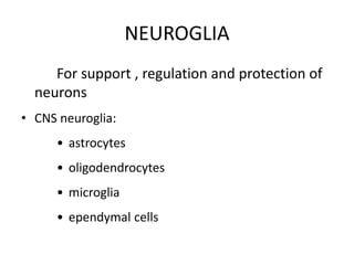 NERVOUS TISSUE.pptx