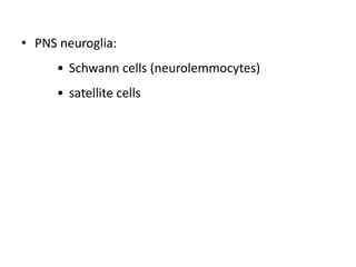 NERVOUS TISSUE.pptx