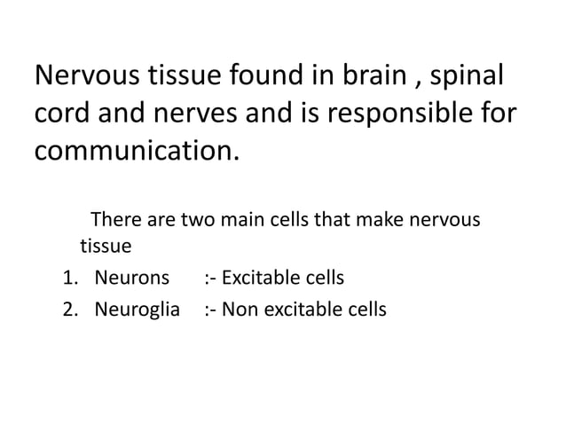 NERVOUS TISSUE.pptx