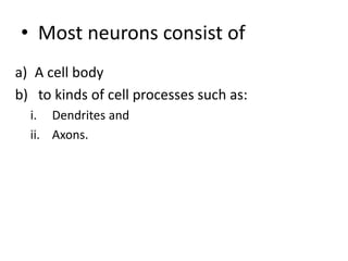NERVOUS TISSUE.pptx