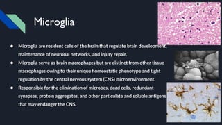 Nervous Tissue- Neuron & Glial.pptx