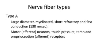 Nervous tissue 2 | PPTX | Physics | Science