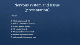 Nervous tissue and system | PPTX