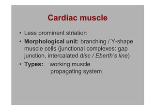 Nervous tissue ii | PPT