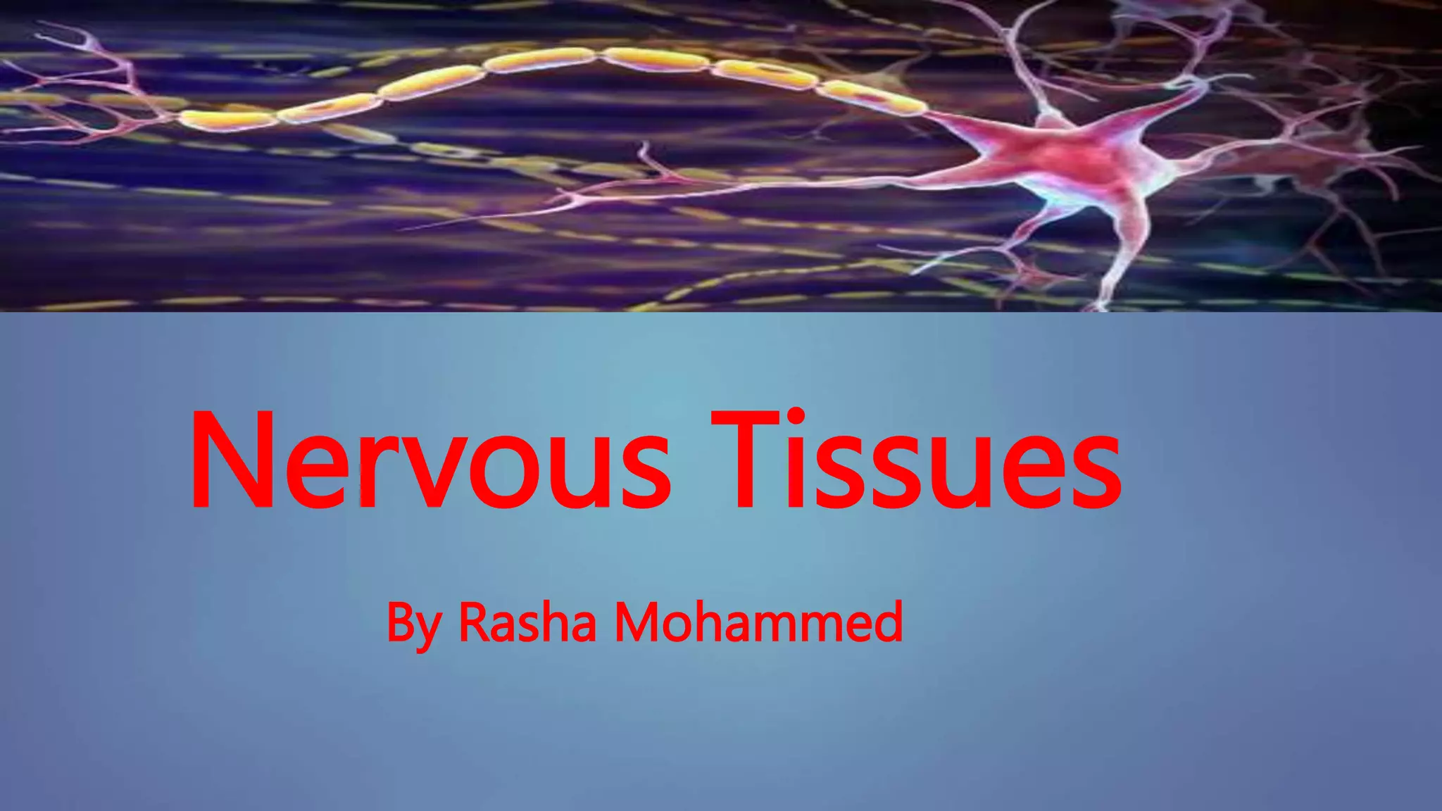 nervous tissues.pptx