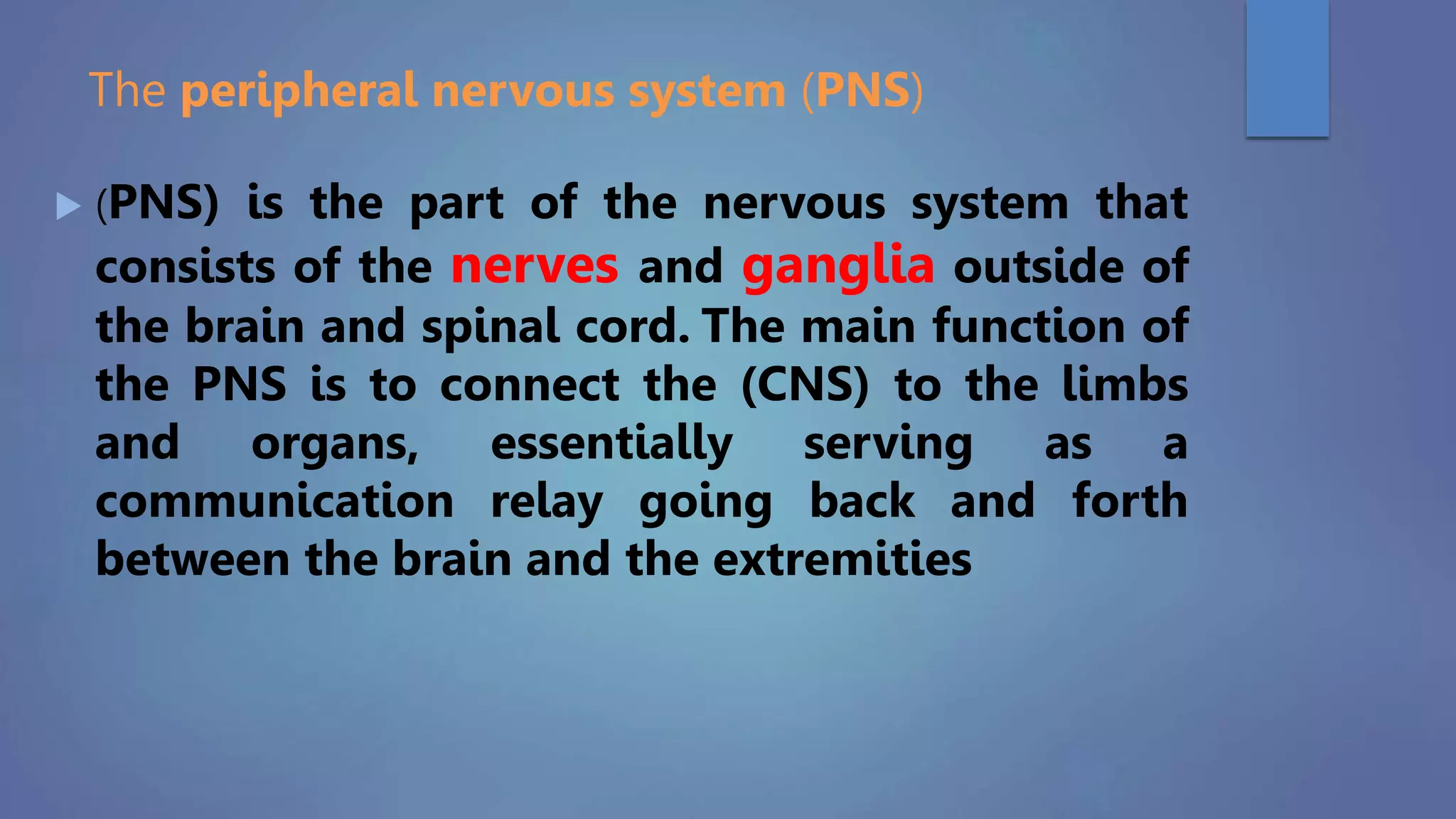 nervous tissues.pptx