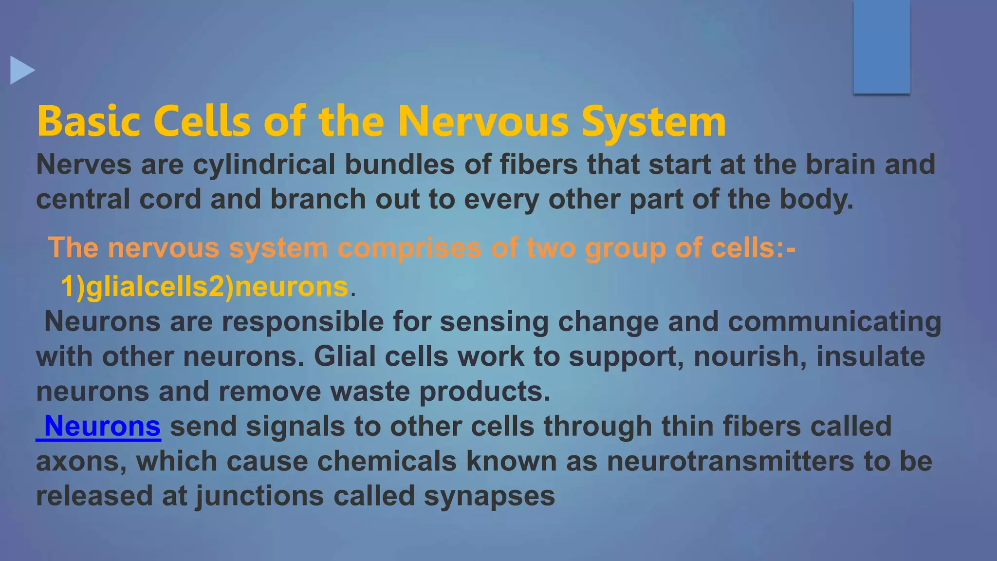 nervous tissues.pptx