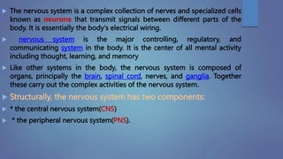nervous tissues.pptx