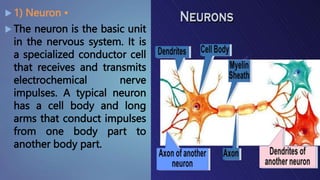 nervous tissues.pptx