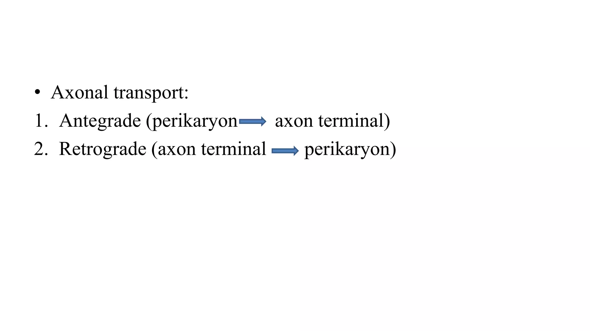 Nervous Tissues.pptx