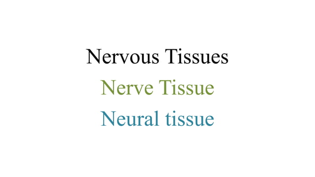 Nervous Tissues.pptx