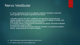 Nervo vestíbulococlear | PPTX
