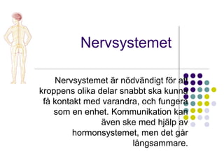 Nervsystemet.ppt del1 | PPT